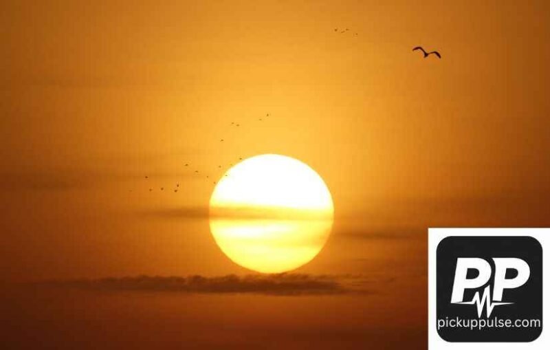 200+ Unique Nicknames for the Sun You’ll Love 2026